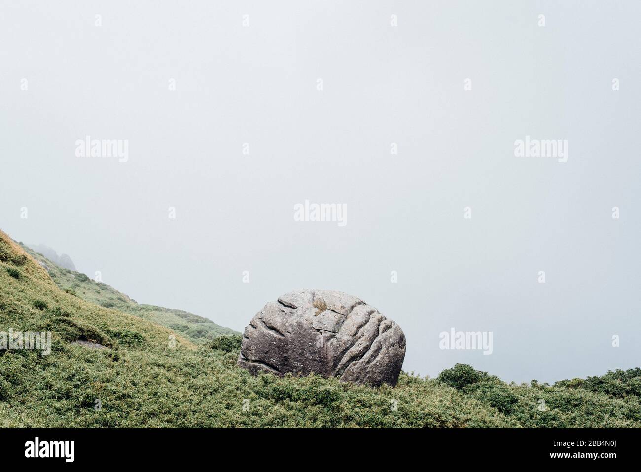 Yakushima national park hi-res stock photography and images - Alamy