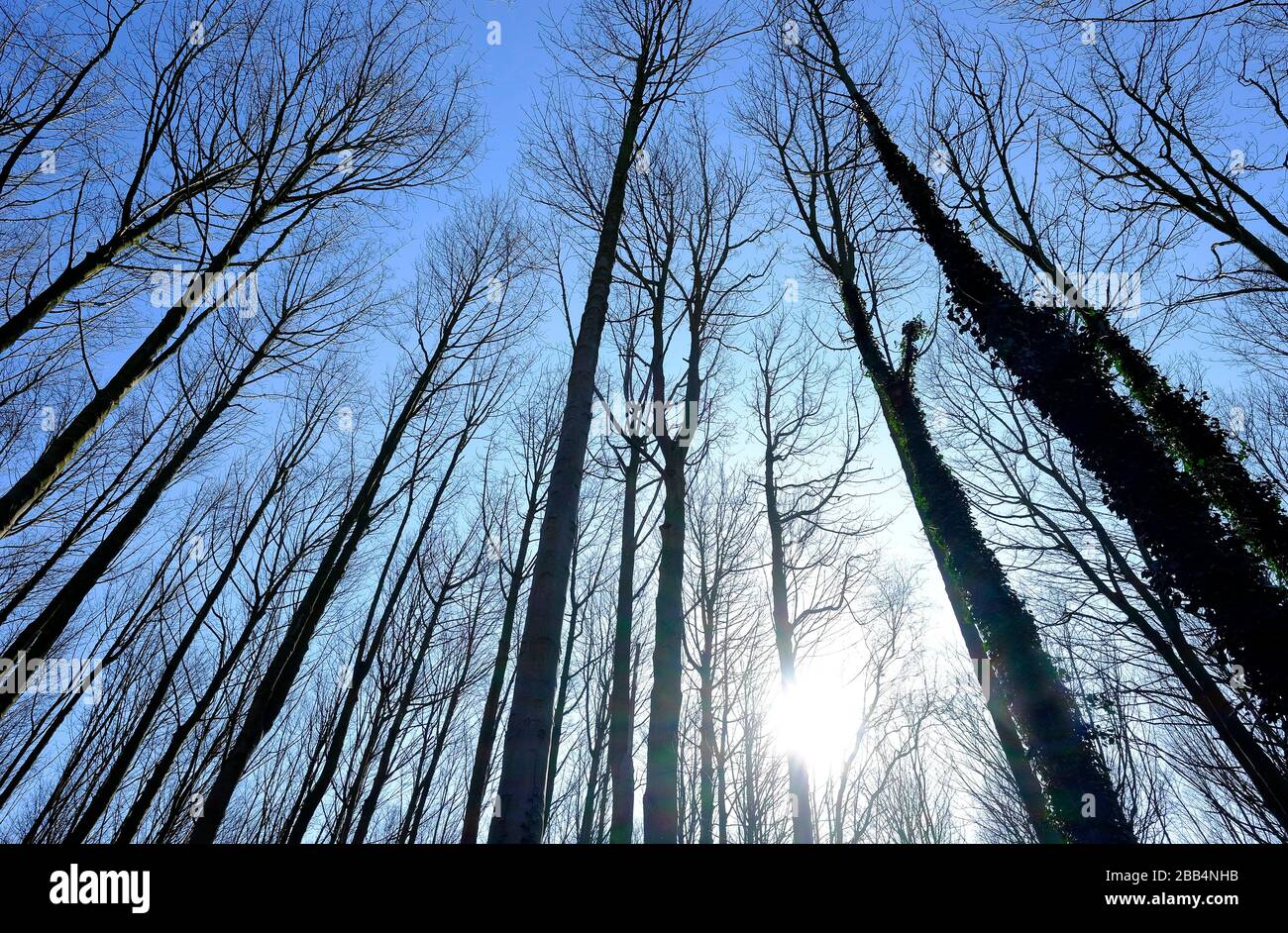 Dark blue winter sky hi-res stock photography and images - Alamy