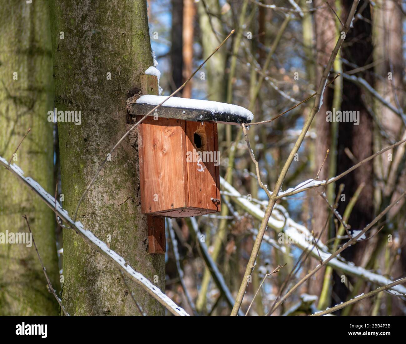 Nesting log hi-res stock photography and images - Alamy