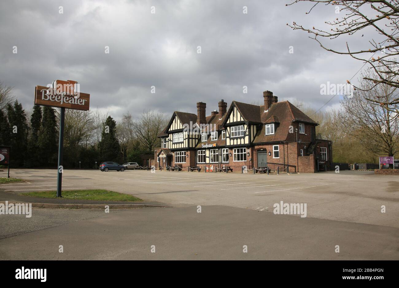 Badgers uk sett hi-res stock photography and images - Alamy