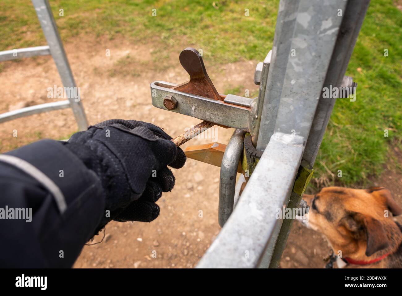 Using a stick to open gates hi-res stock photography and images - Alamy