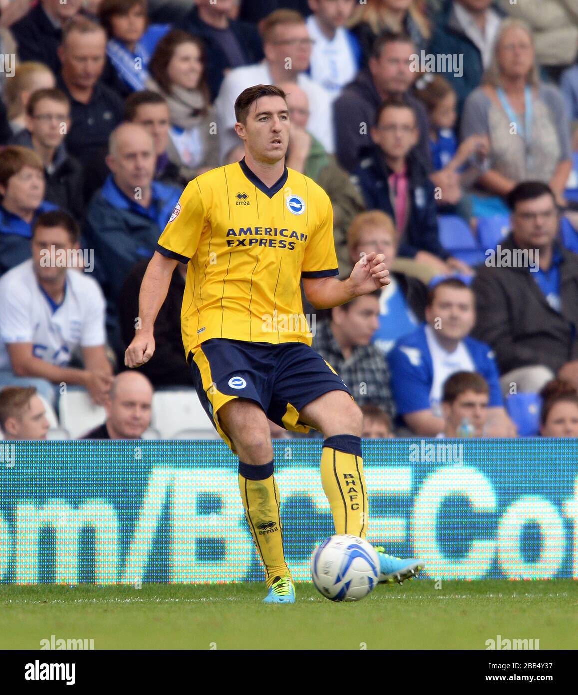 Stephen Ward, Brighton & Hove Albion Stock Photo - Alamy