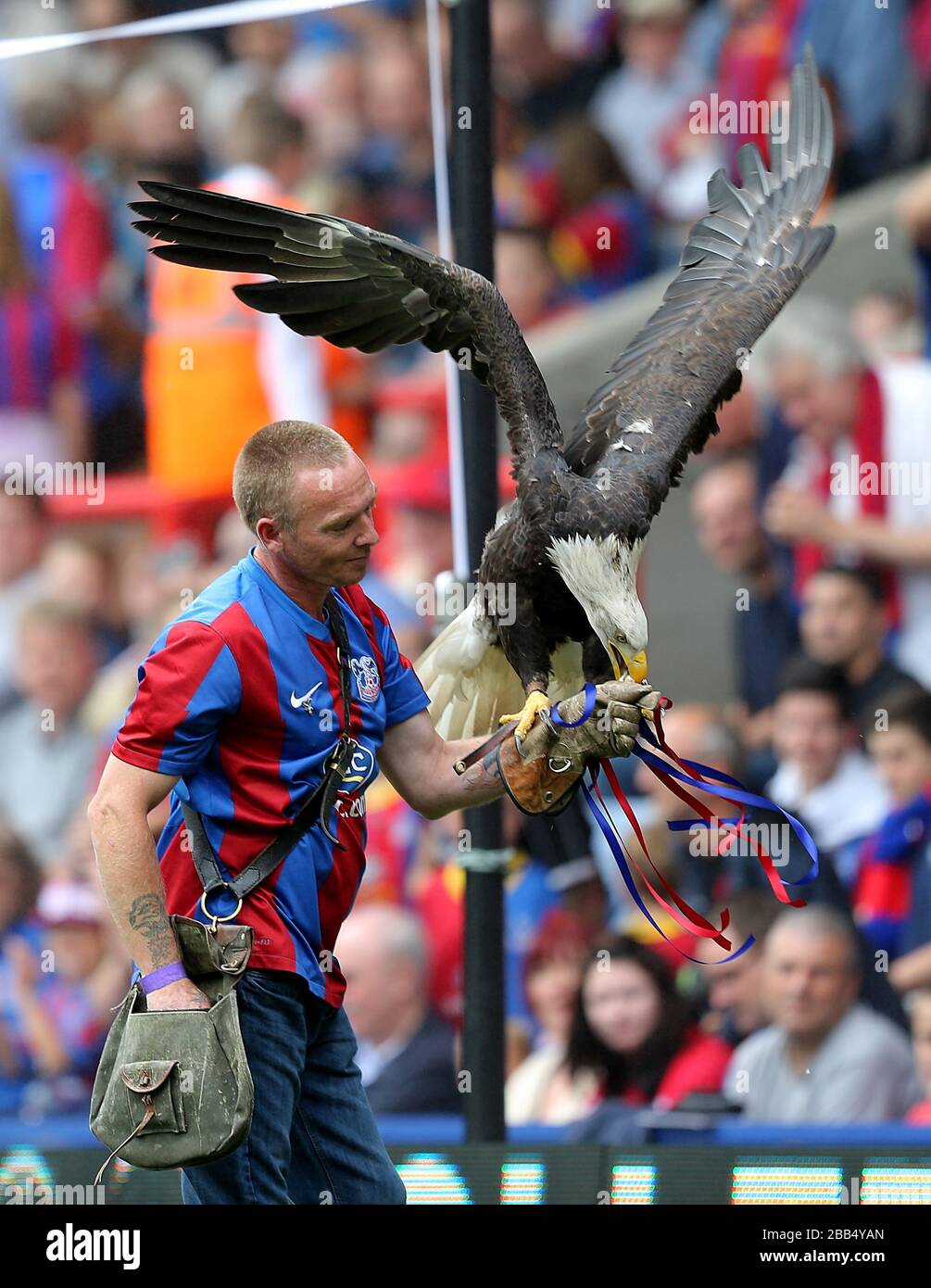 Crystal Palace mascot Kayla the Eagle prior to kick-off Stock Photo - Alamy