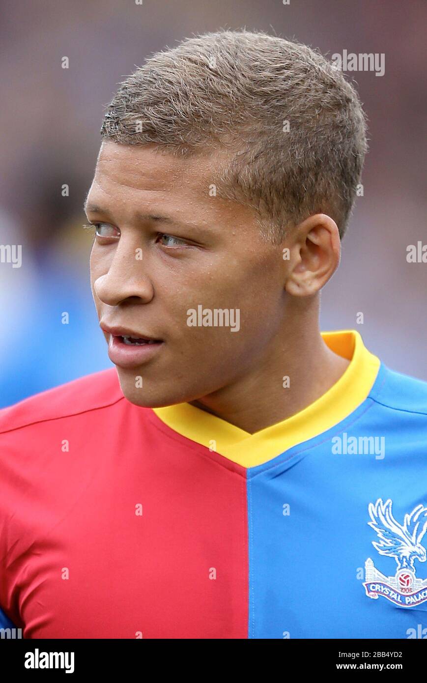 Gayle portrait hi-res stock photography and images - Alamy