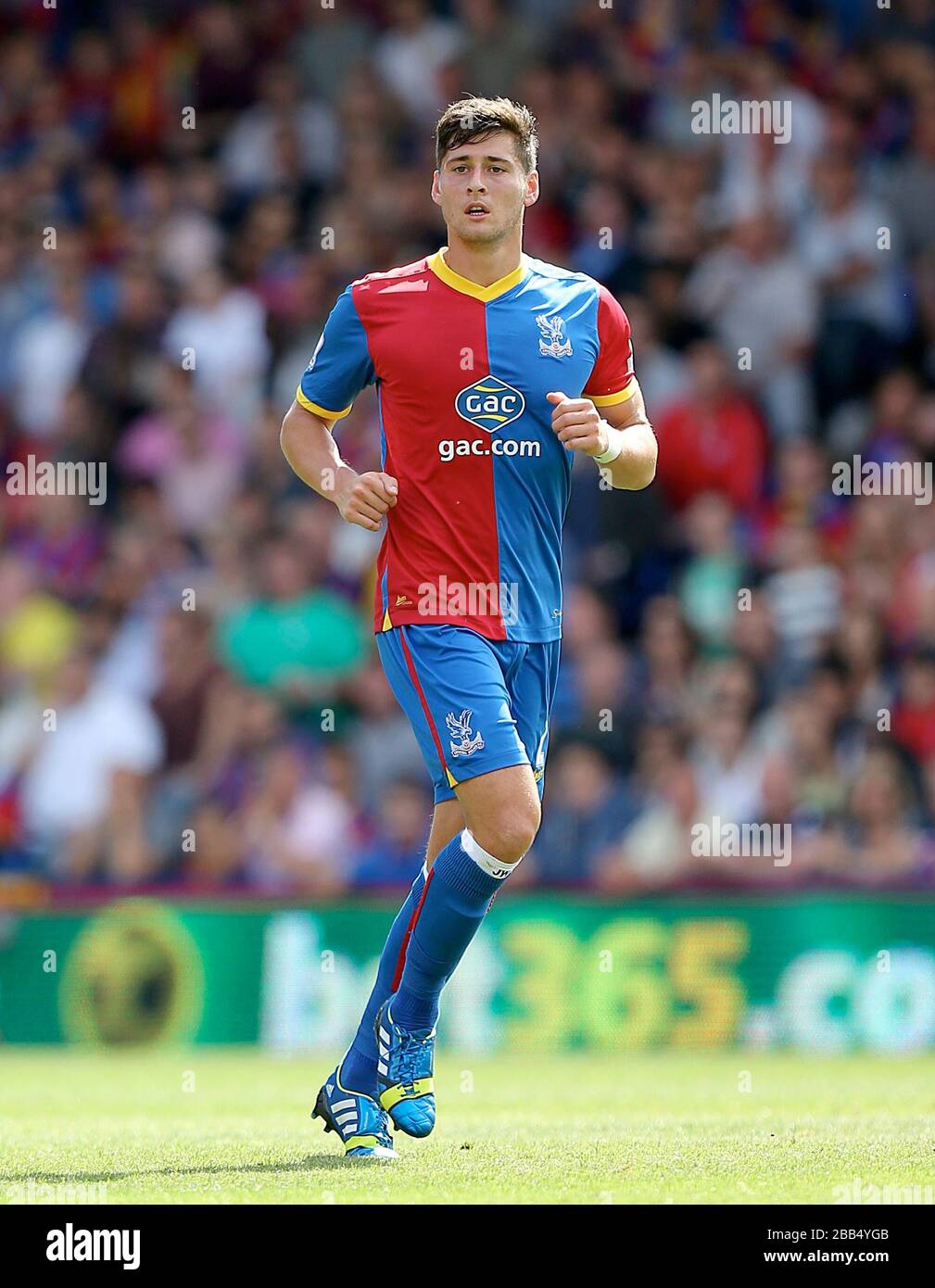 Joel ward crystal palace hi-res stock photography and images - Alamy