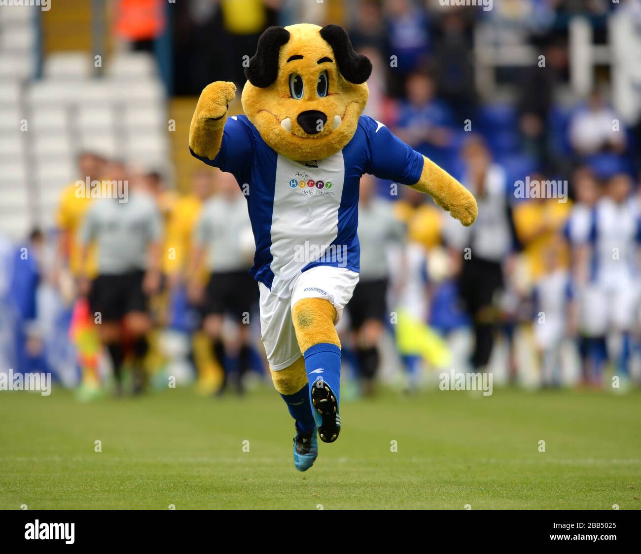 Beau Brummie, Birmingham City mascot Stock Photo - Alamy