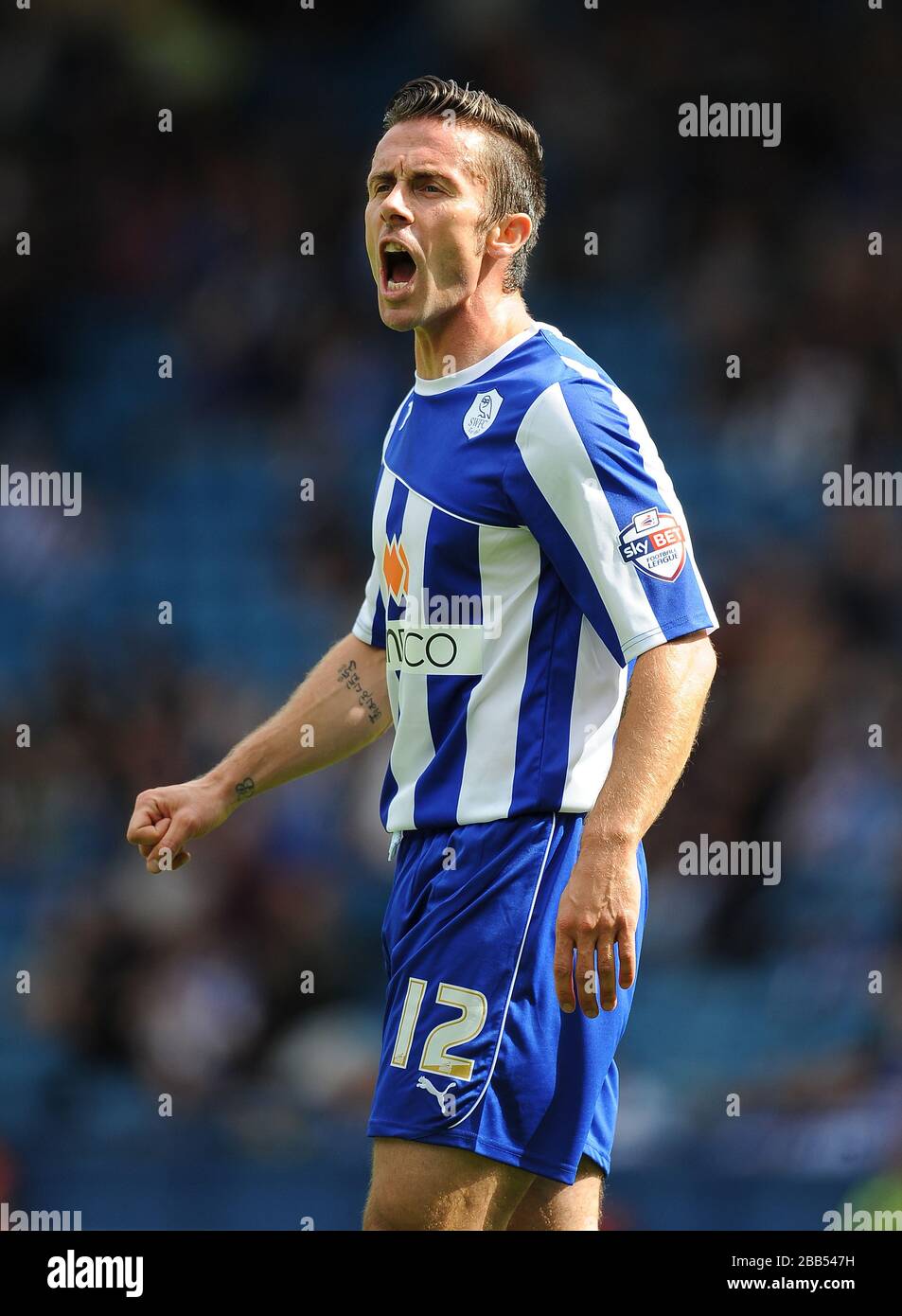 David Prutton, Sheffield Wednesday Stock Photo - Alamy