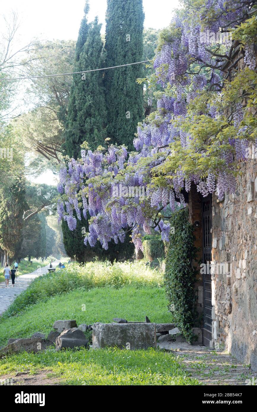 21 april 2018 on Via Appia, Appian Way from Porta Appia, anicient road ...