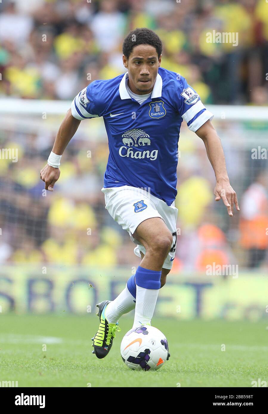 Everton's Steven Pienaar Stock Photo - Alamy