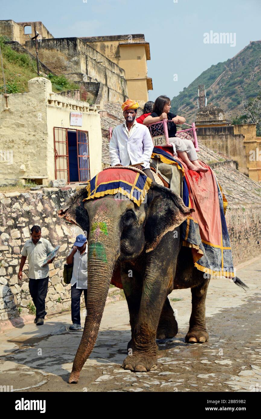 Elephant ride at Jaipur amber fort Stock Photo - Alamy