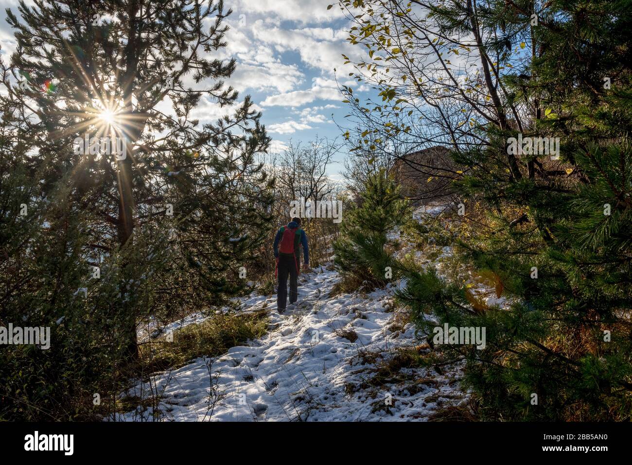 natural environment Trentino country, Italy Stock Photo - Alamy