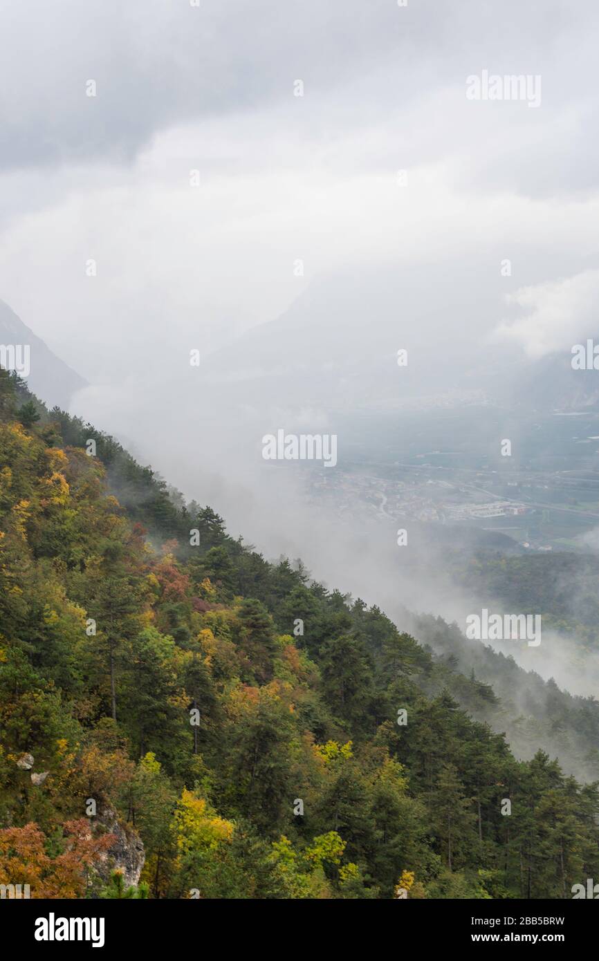 sunny autumn afternoon mountain scenery. trees in fall foliage on the ...