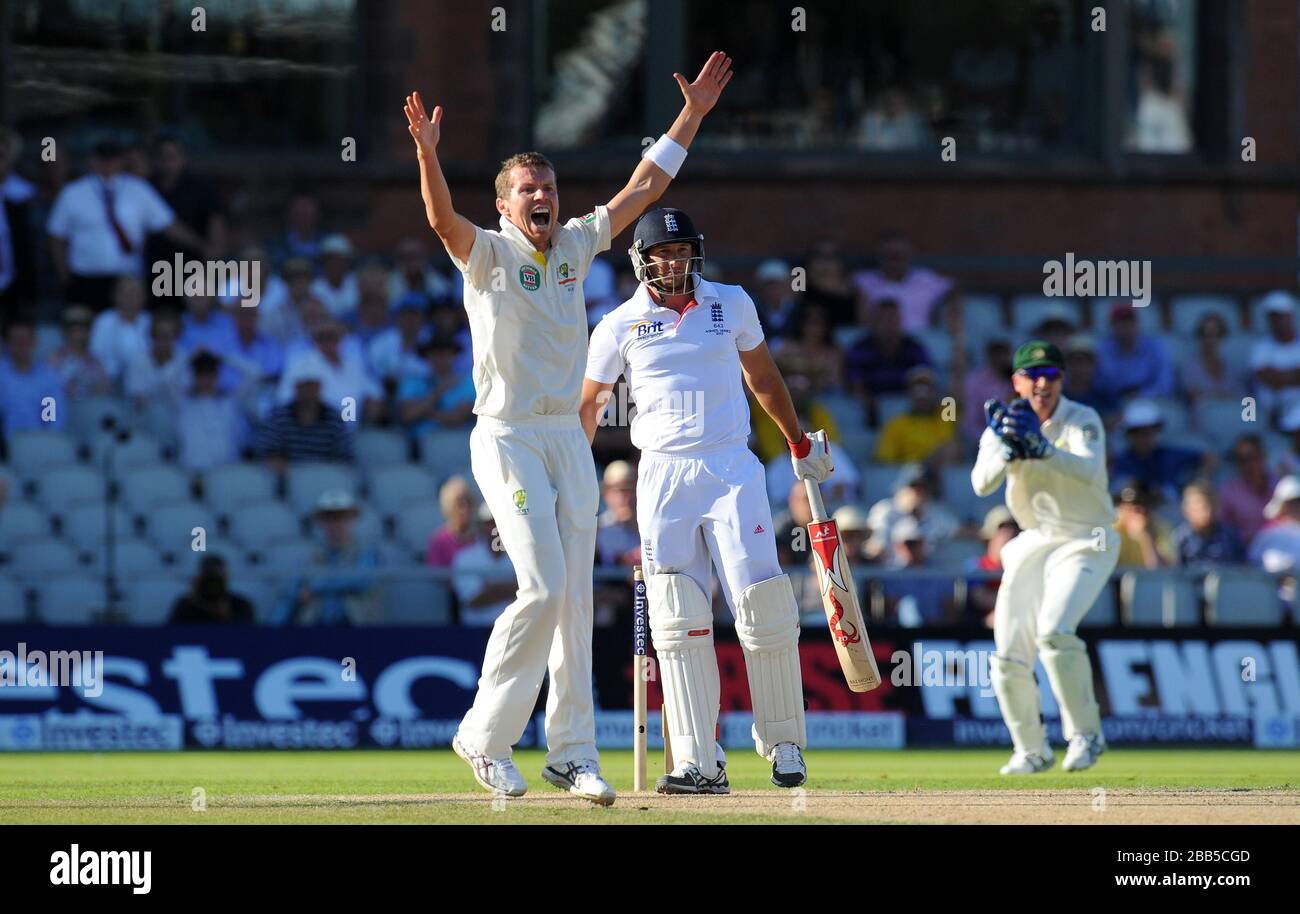Australia's Peter Siddle celebrates taking the wicket of England's Tim ...