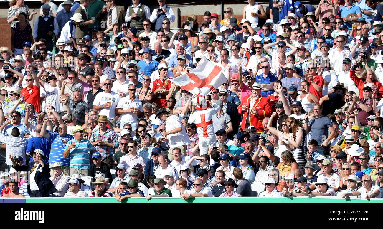 Cricket fans in the stands Stock Photo - Alamy