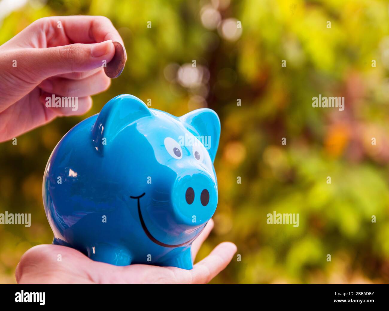 piggy save money concept, piggy bank on nature background Stock Photo ...