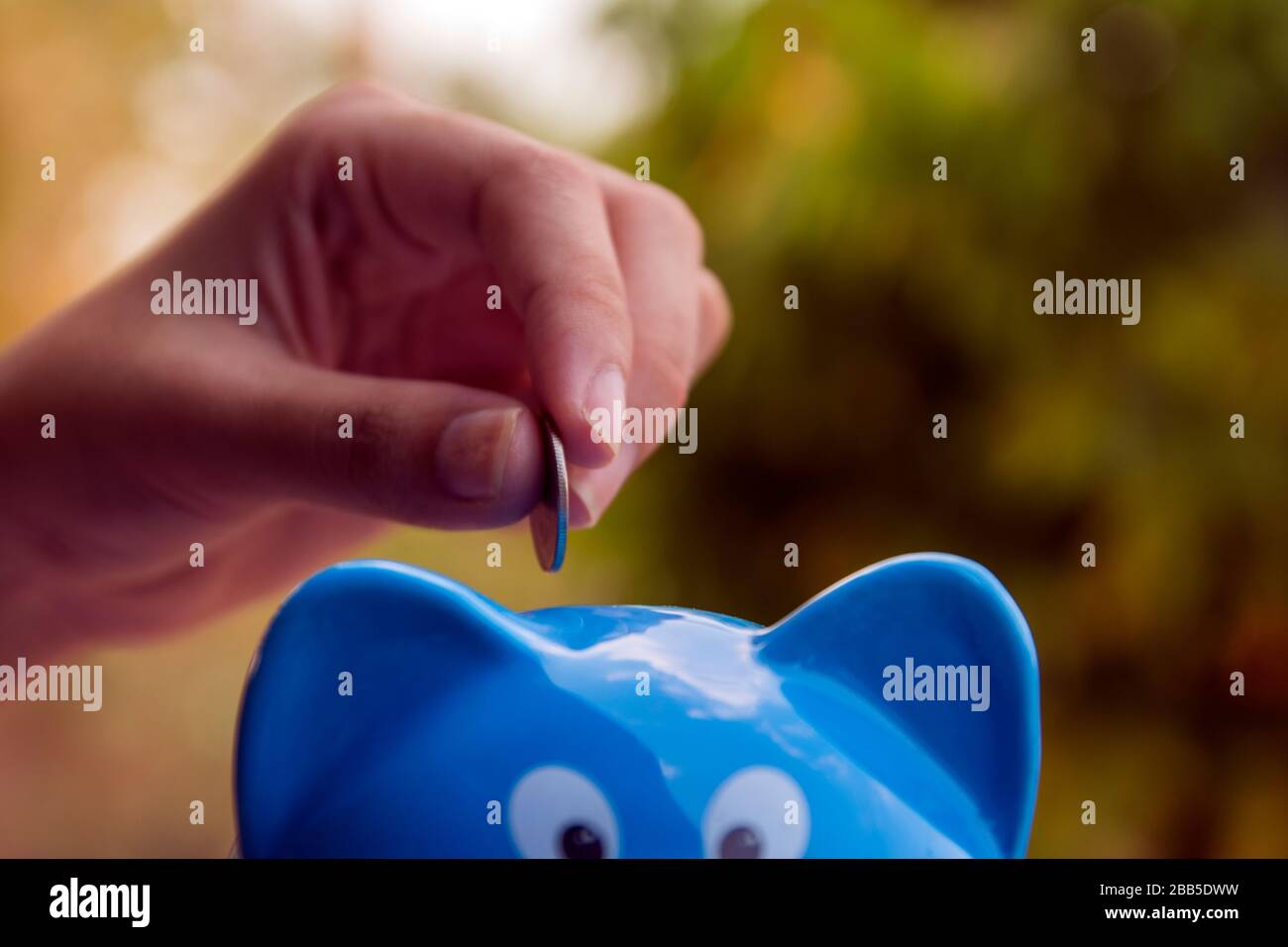 piggy save money concept, piggy bank on nature background Stock Photo ...