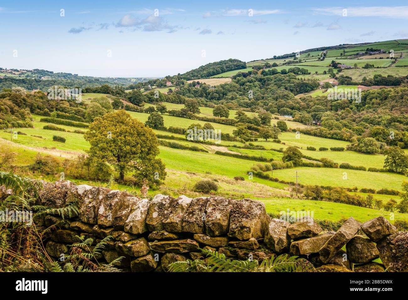 A Summer's day, dry stone walls and open fields. View across the Esk ...