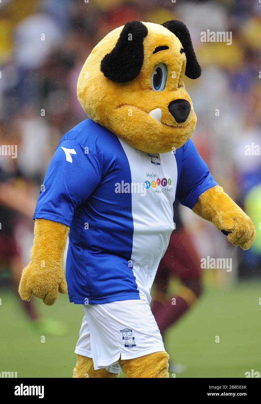 Beau Brummie, Birmingham City mascot Stock Photo - Alamy