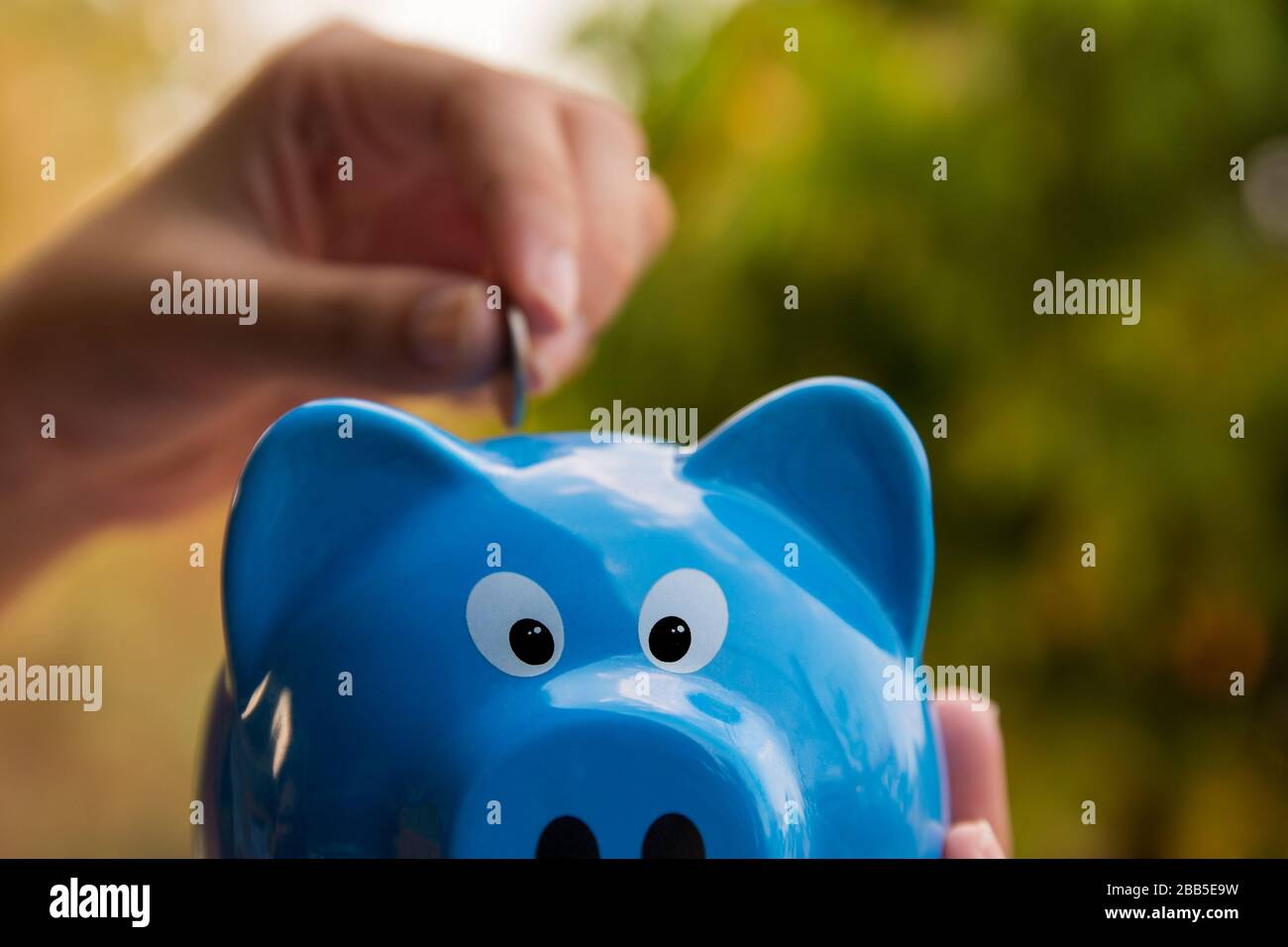 piggy save money concept, piggy bank on nature background Stock Photo ...