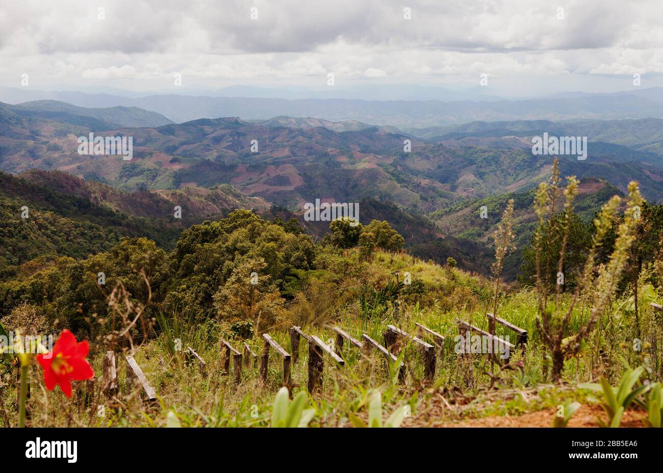 On the plateau next to the steep mountain slope is the coffee ...