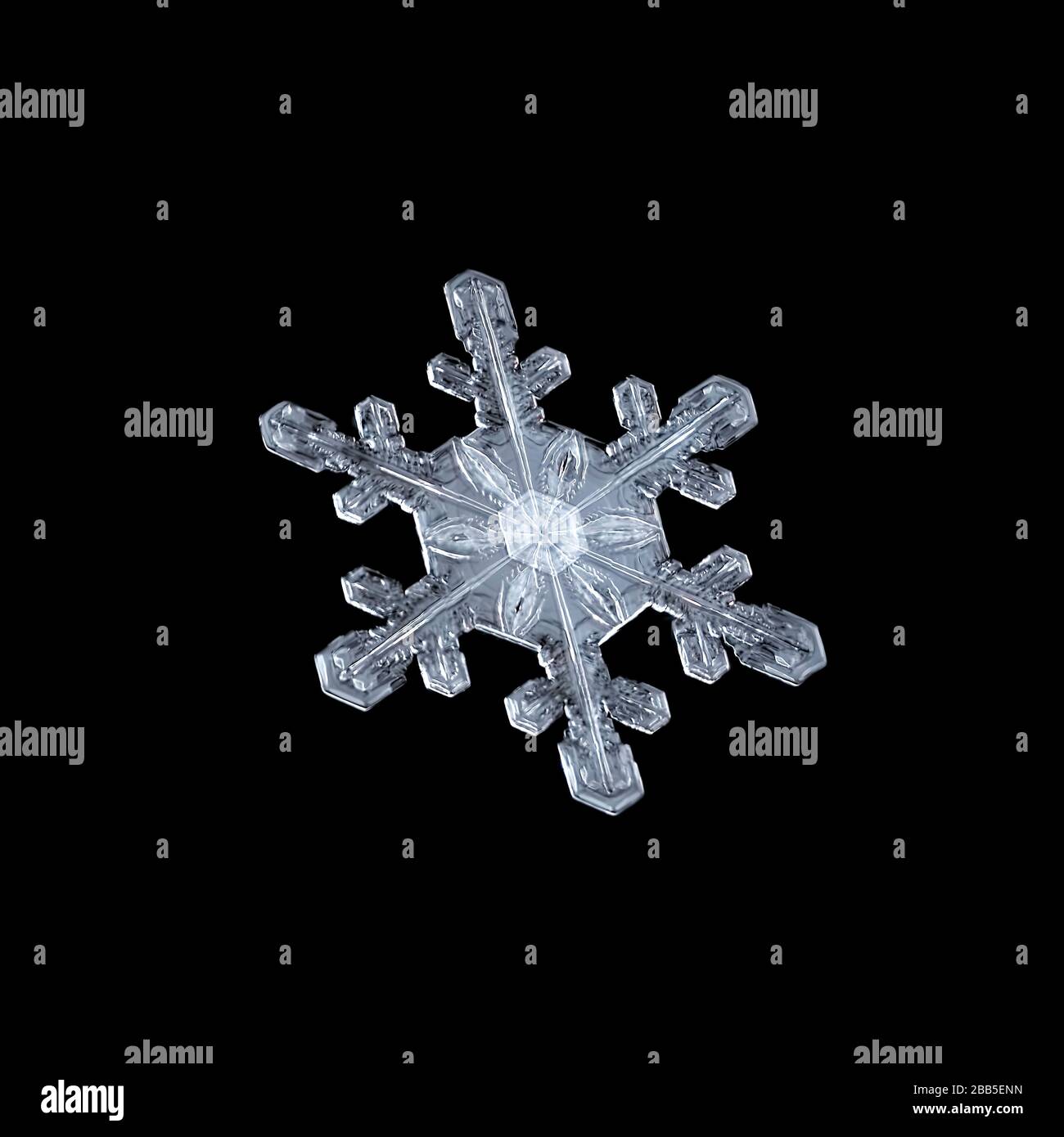 Macro frozen snowflake hi-res stock photography and images - Alamy