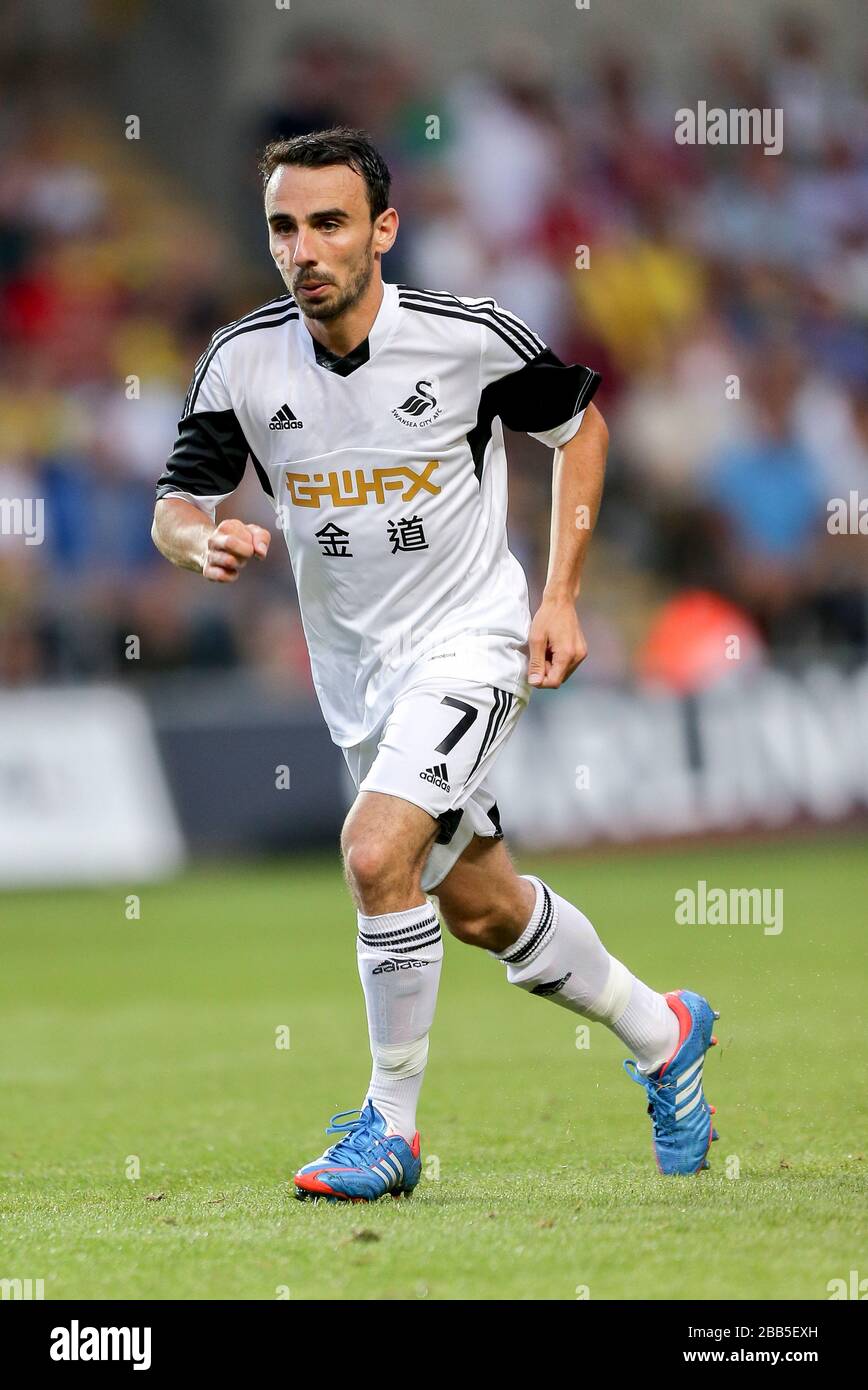 Leon Britton, Swansea City Stock Photo - Alamy