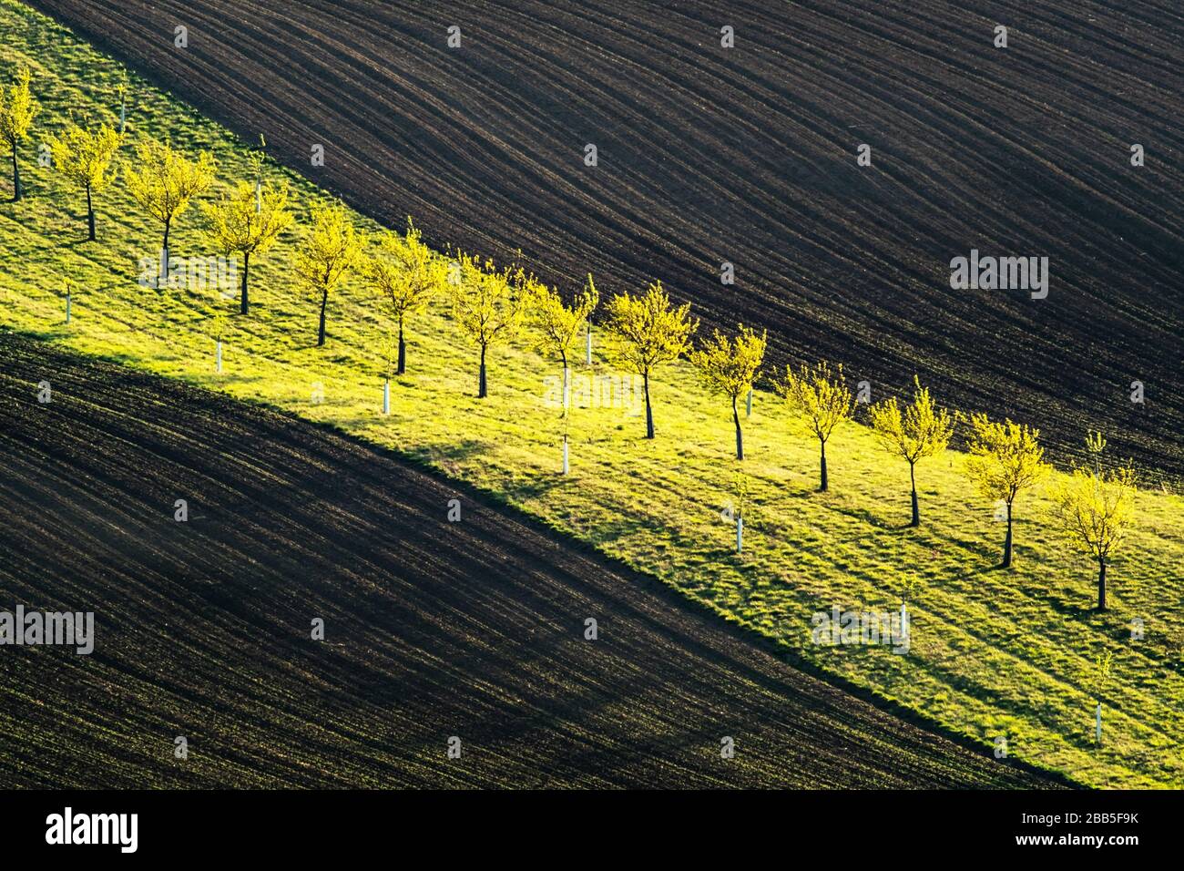 Rural farming landscape rolling fields hi-res stock photography and ...