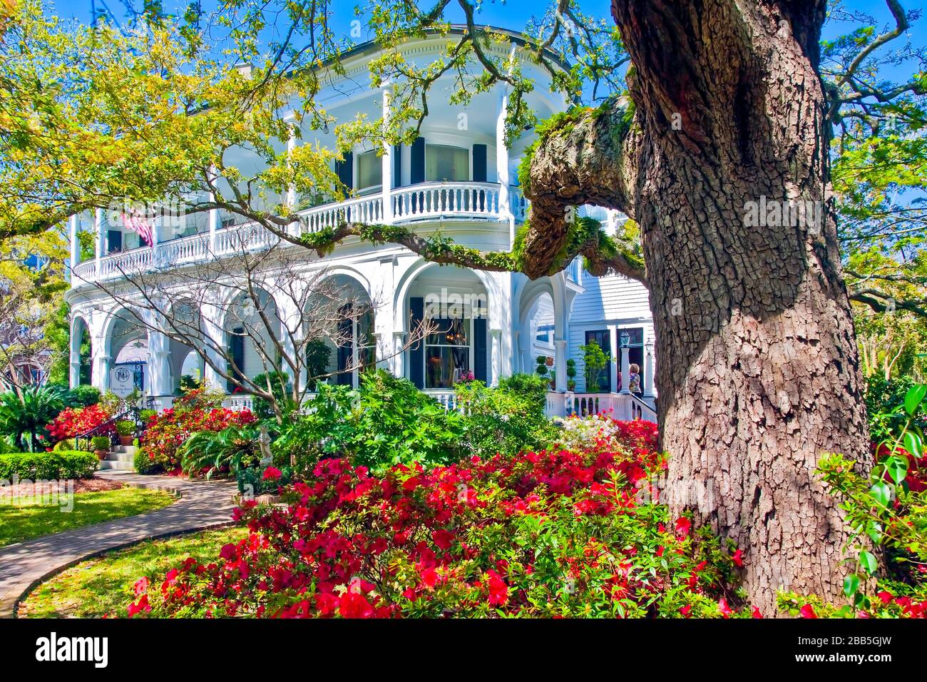 Charleston historic sites hi-res stock photography and images - Alamy