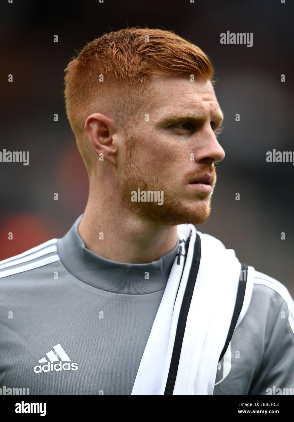 Fulham's Harrison Reed Stock Photo - Alamy