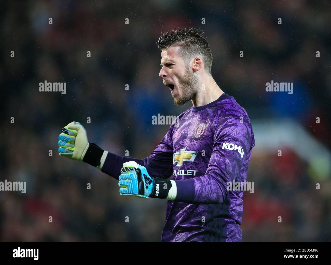 Manchester United goalkeeper David de Gea celebrates the goal against ...