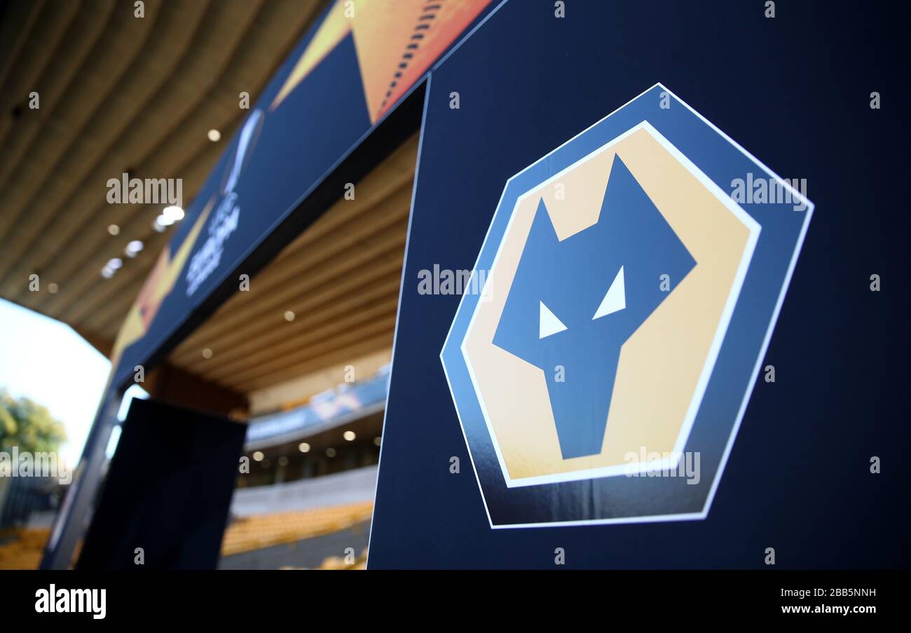 A general view of the pitch at Molineux stadium ahead of the match ...