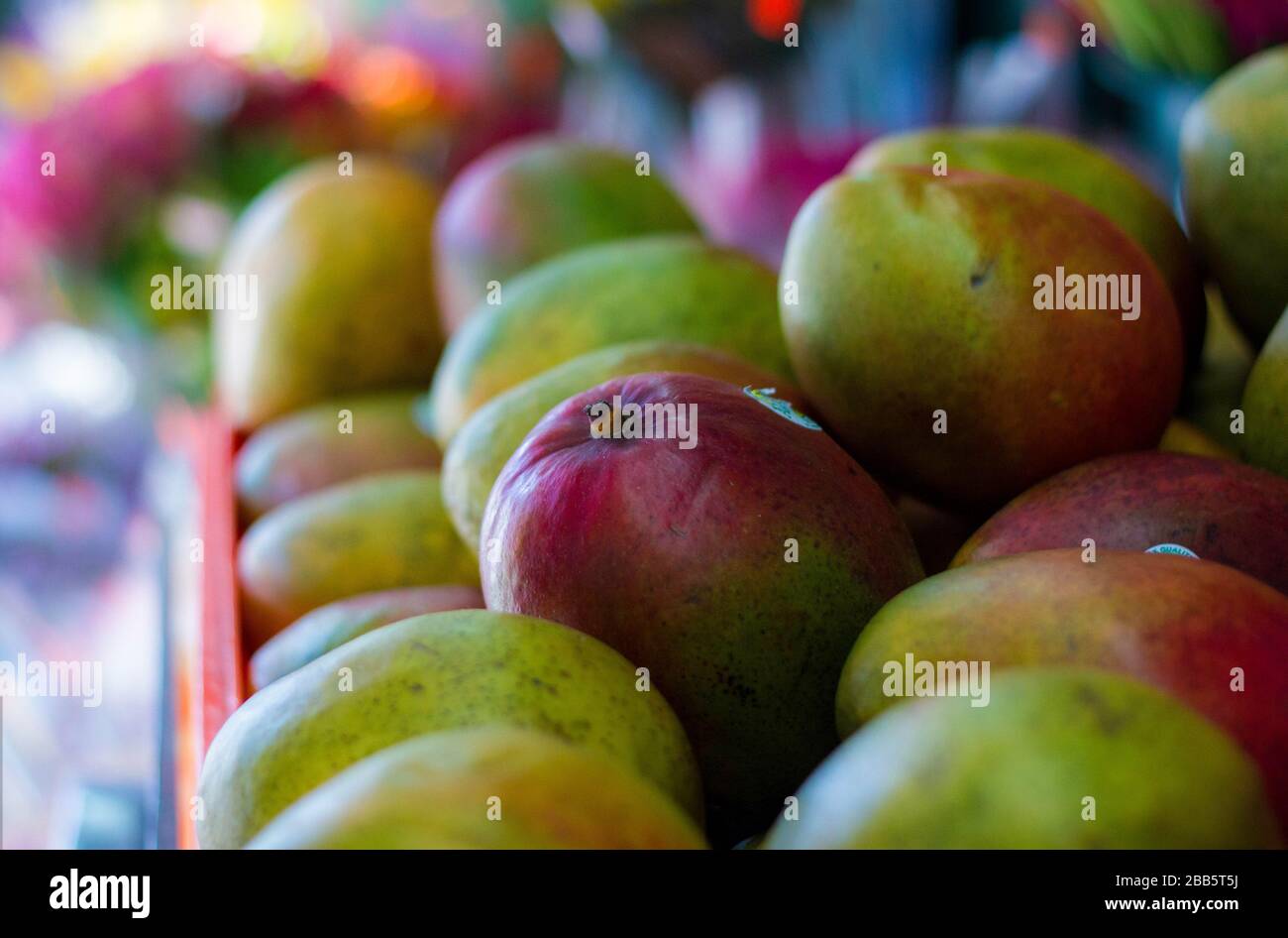 Close up shot of stacked Mangoes Stock Photo - Alamy