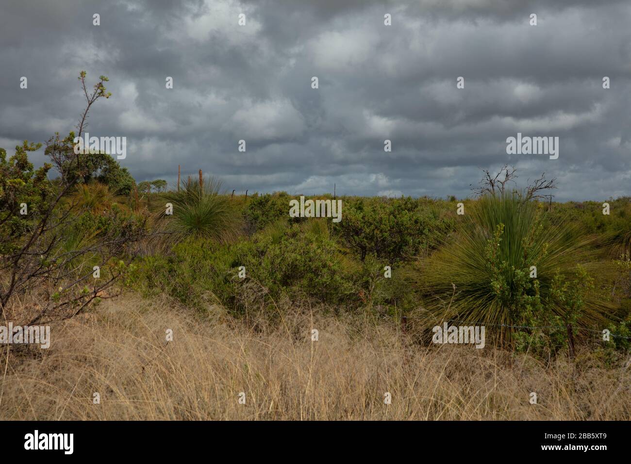 Things to do in perth australia hi-res stock photography and images - Alamy