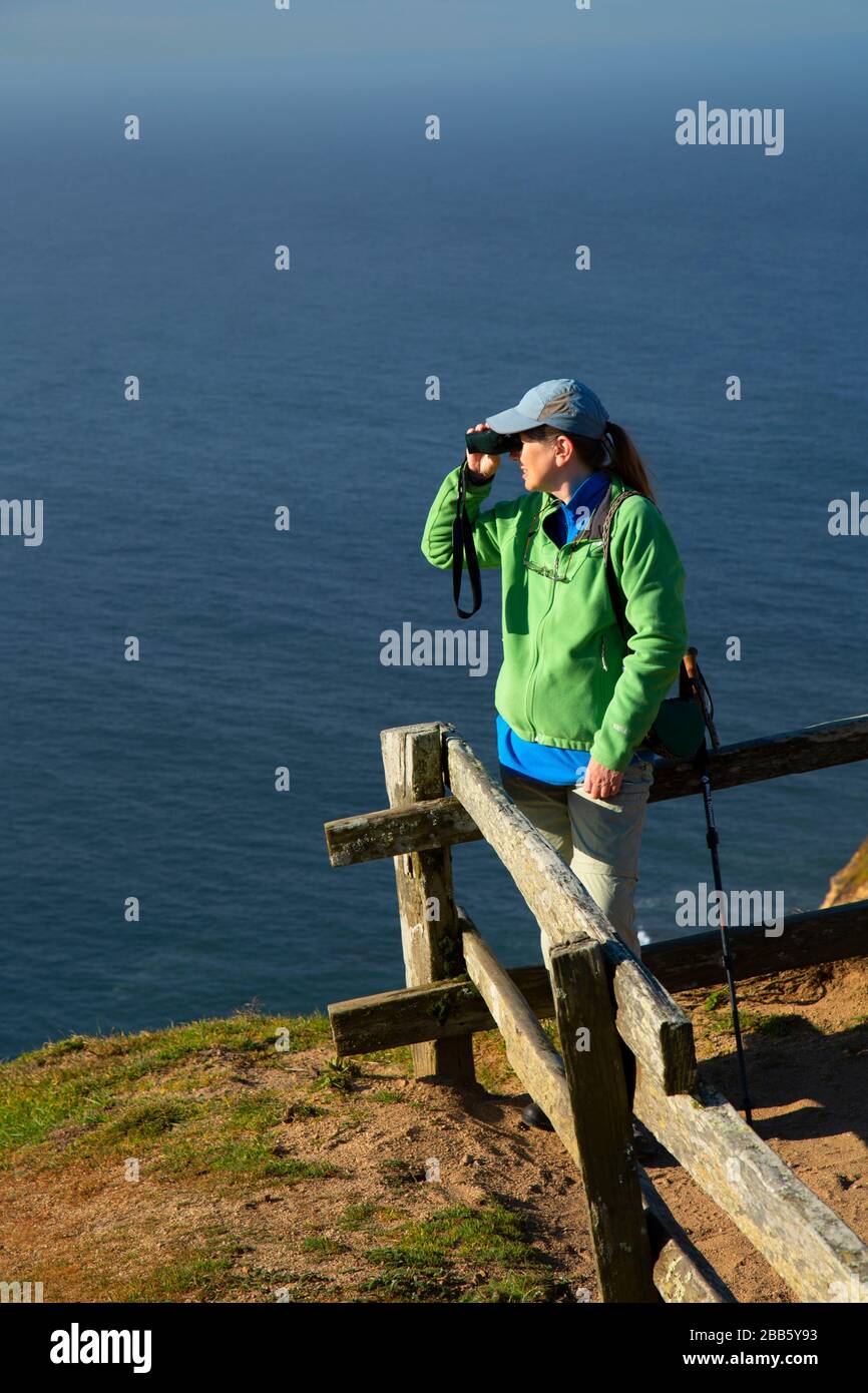 Point Reyes Lighthouse Trailhead Viewpoint, Point Reyes National ...