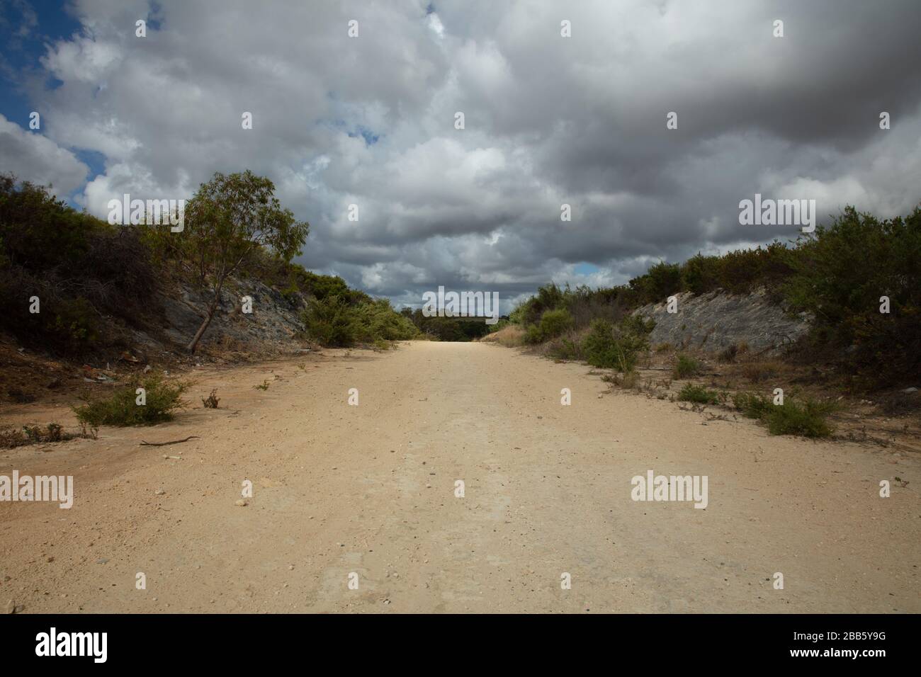 Australian bush land seen near Perth, western Australia Stock Photo - Alamy