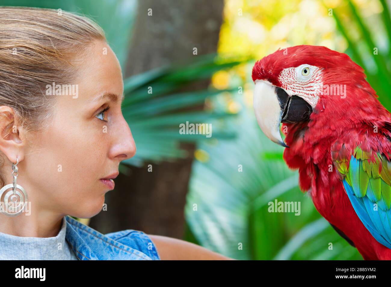 Face portrait of young girl looking at red macaw parrot. Side view of ...