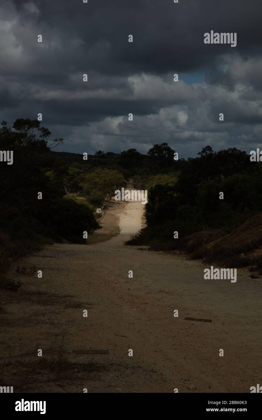 Indigenous land bushes hi-res stock photography and images - Alamy