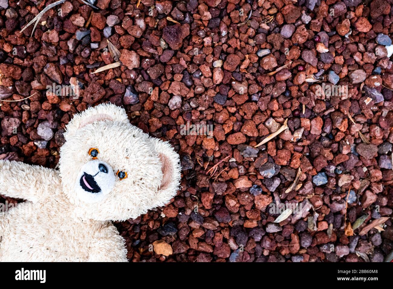 Teddy bear lying on the floor, dirty and wet, abandoned by a child ...