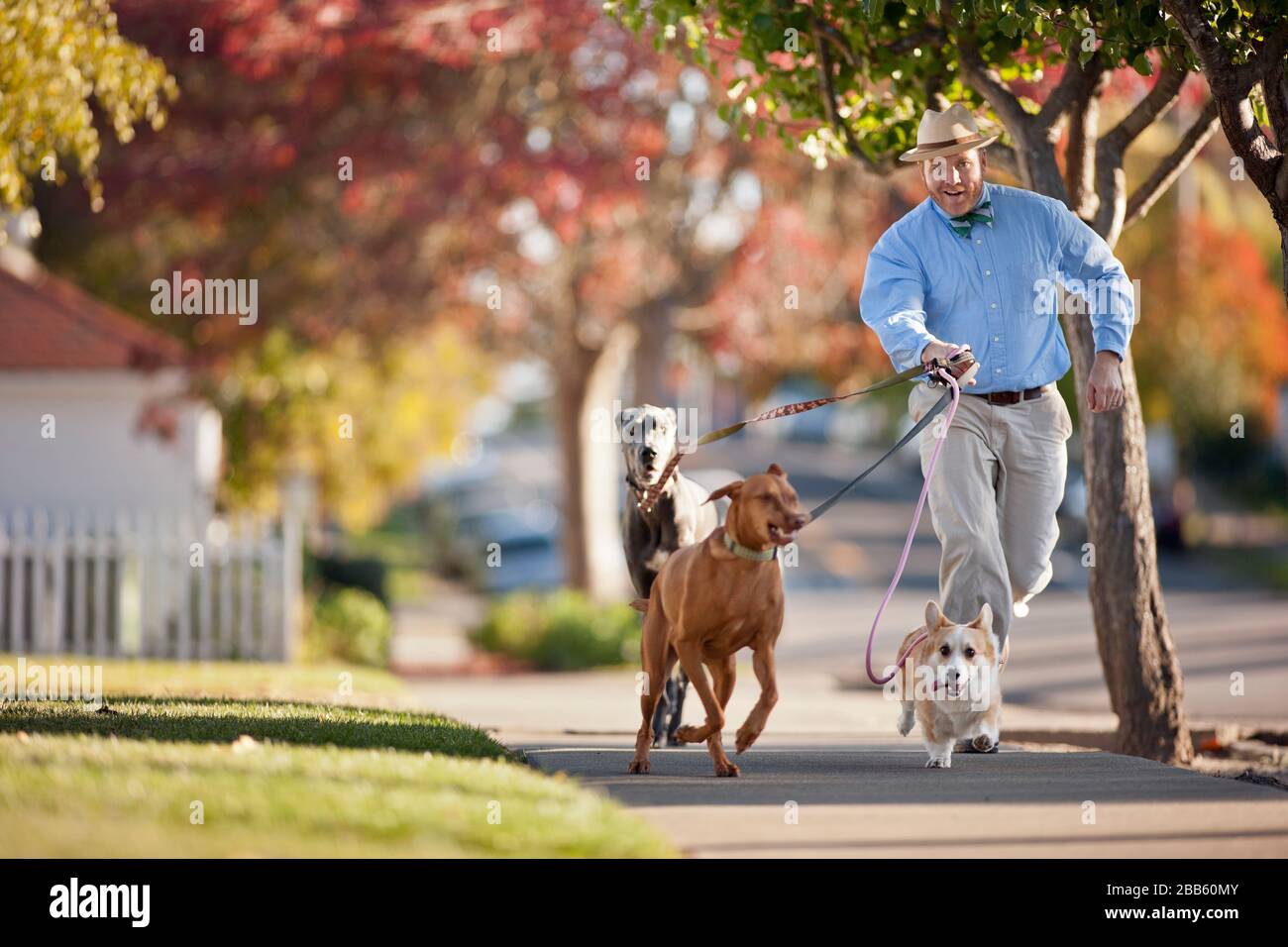 Pavements walks hi-res stock photography and images - Alamy