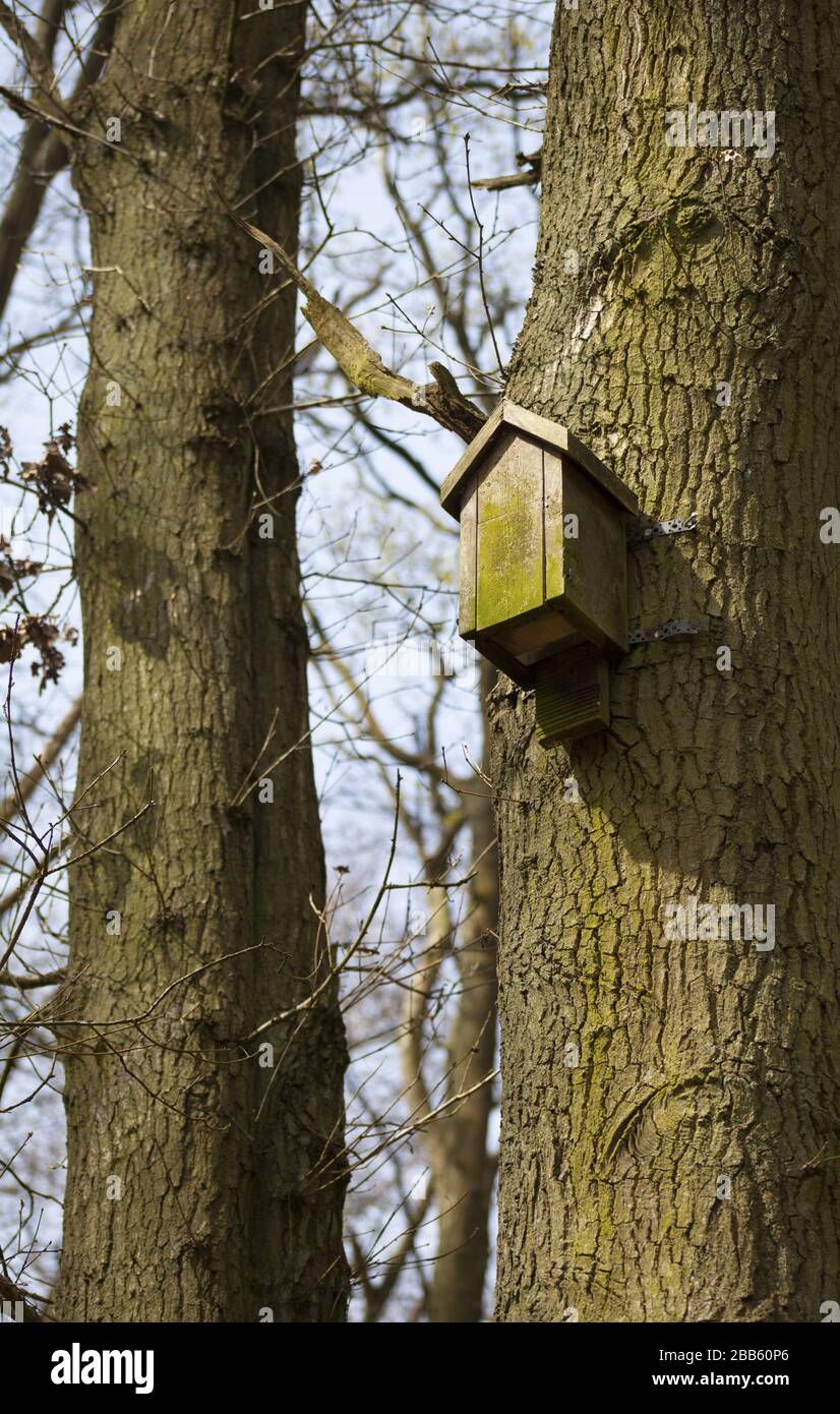 Tree with birdhouses hi-res stock photography and images - Alamy