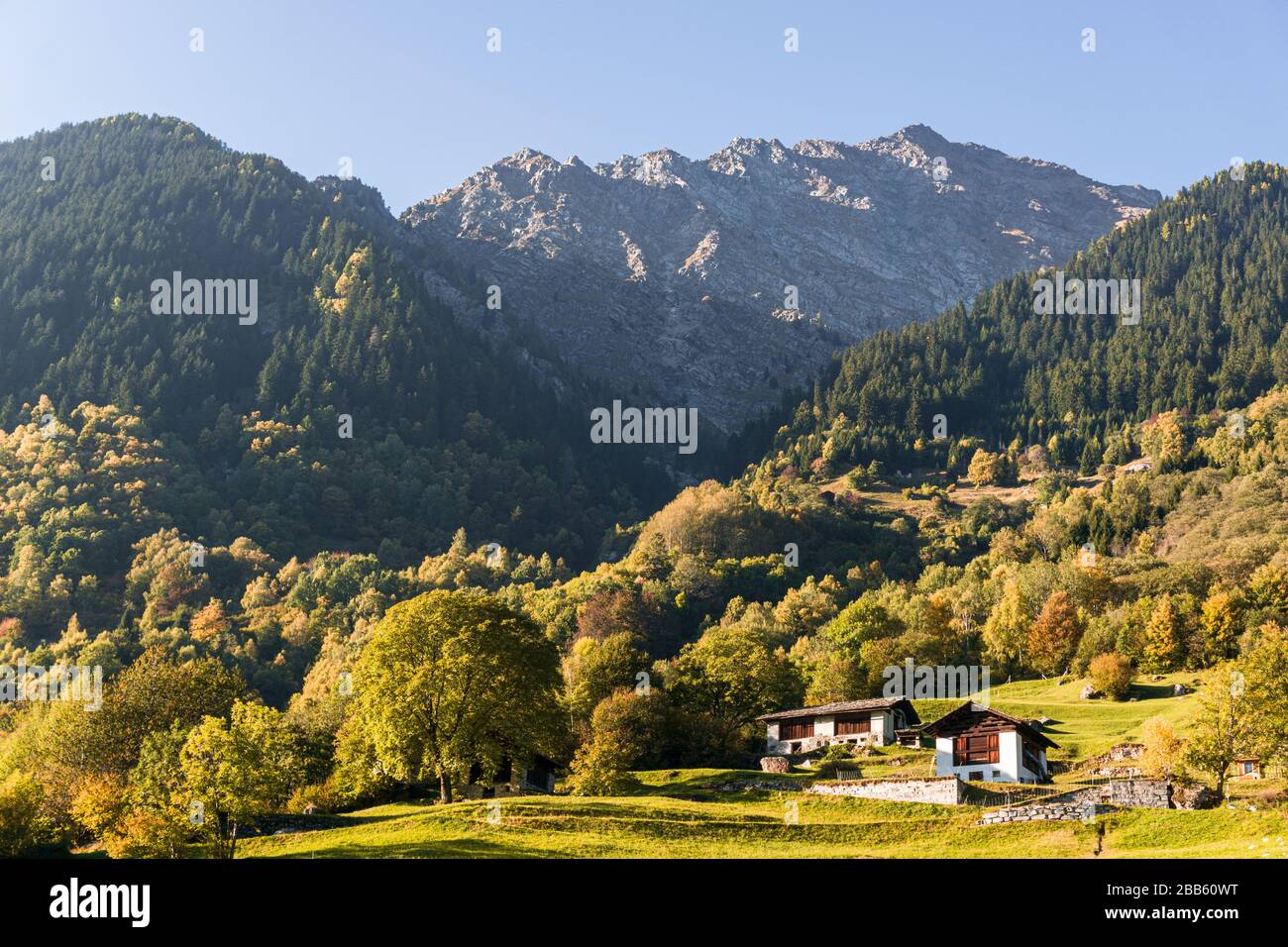 The nature of the Swiss Alps, at sunset, near the village of Soglio ...