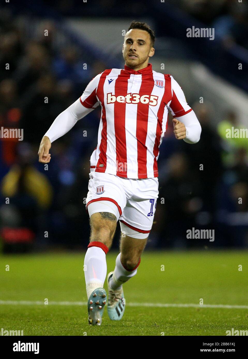 Stoke City's Lee Gregory Stock Photo - Alamy
