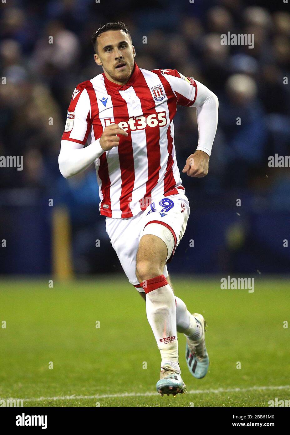 Stoke City's Lee Gregory Stock Photo - Alamy
