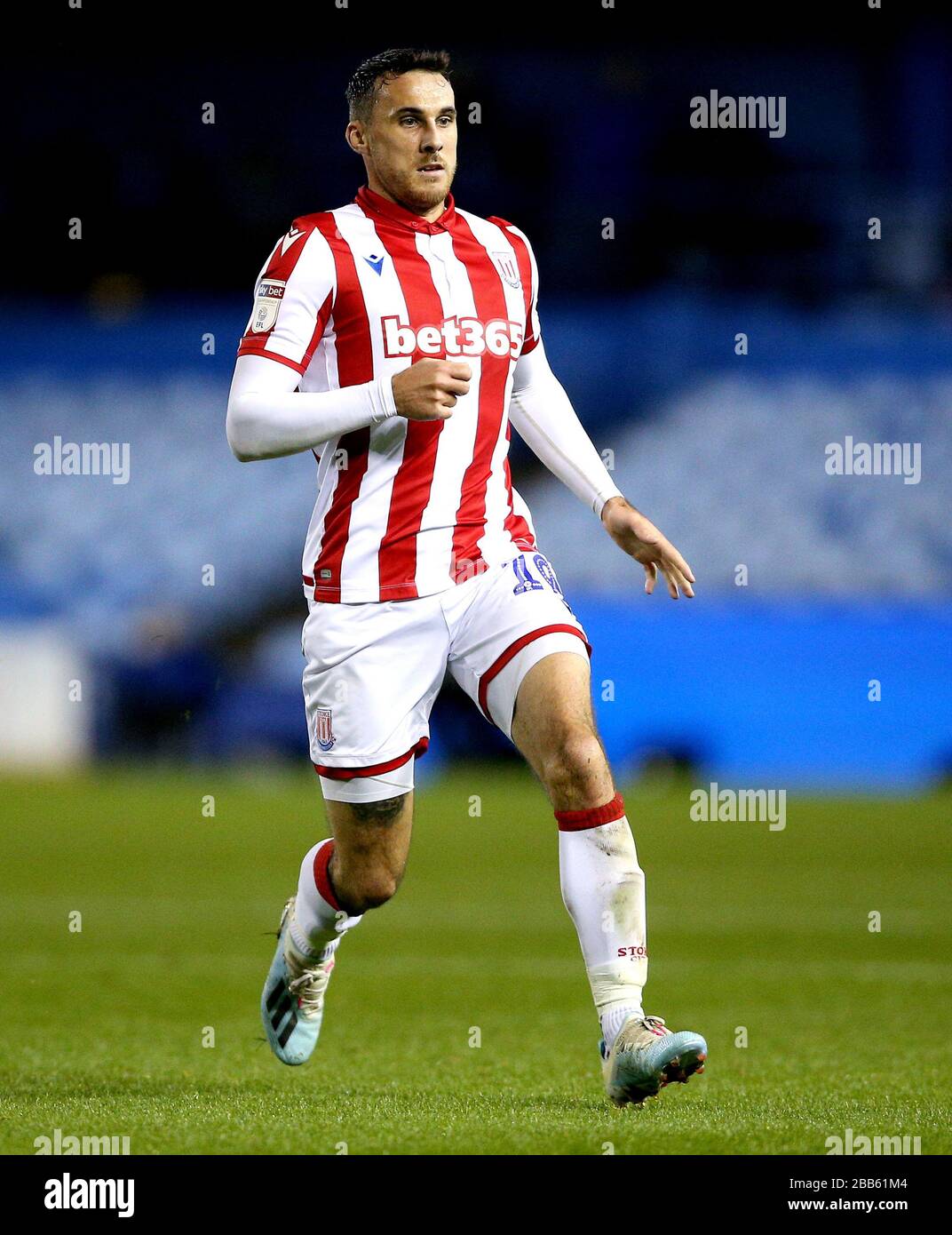 Stoke City's Lee Gregory in action Stock Photo - Alamy