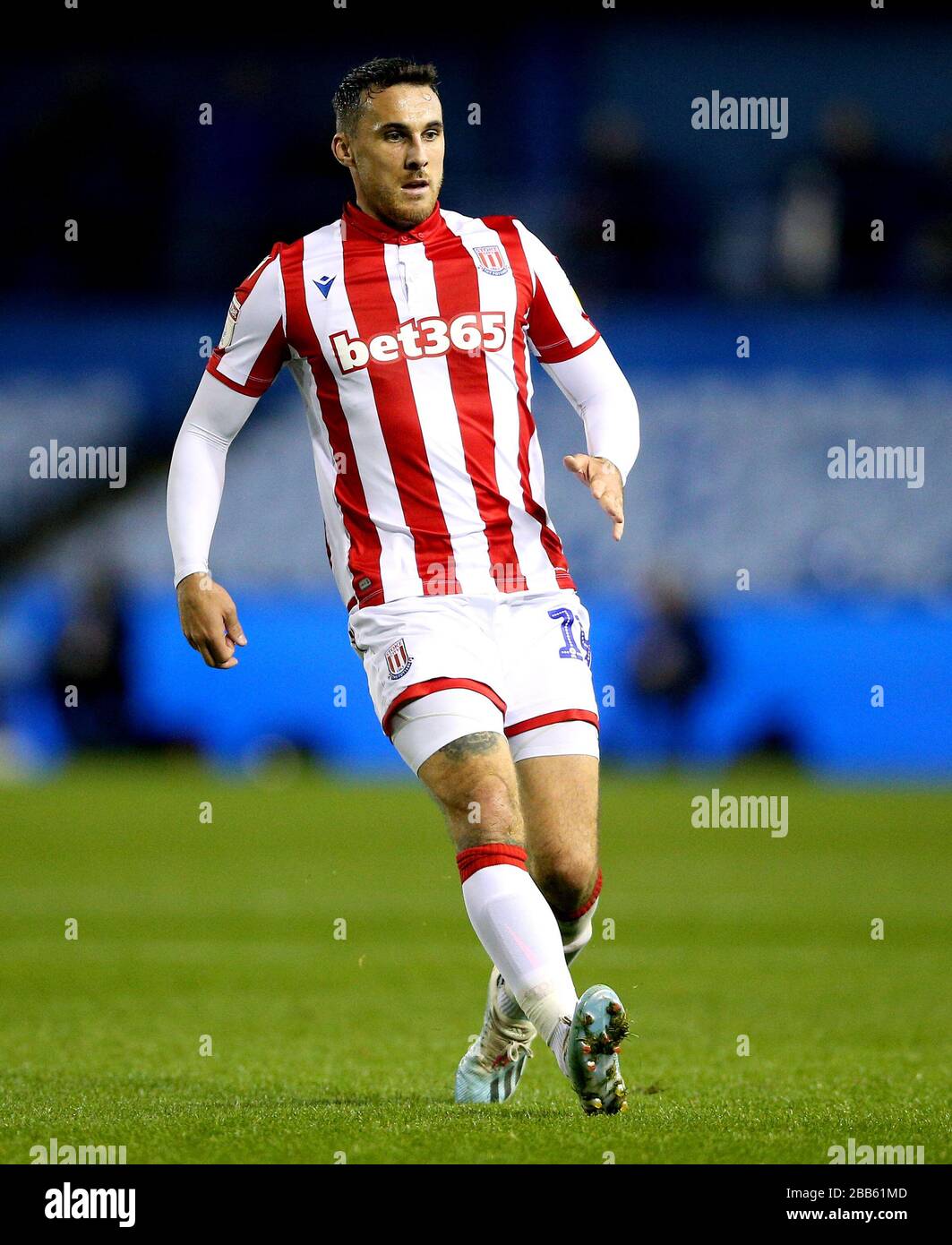 Stoke City's Lee Gregory in action Stock Photo - Alamy