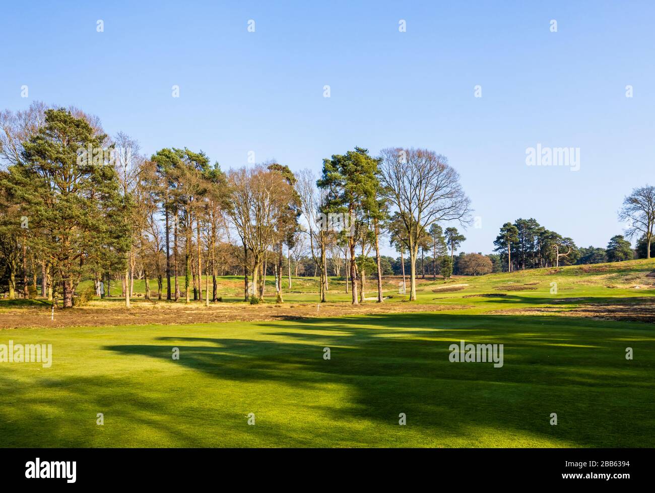 Gold club hi-res stock photography and images - Alamy