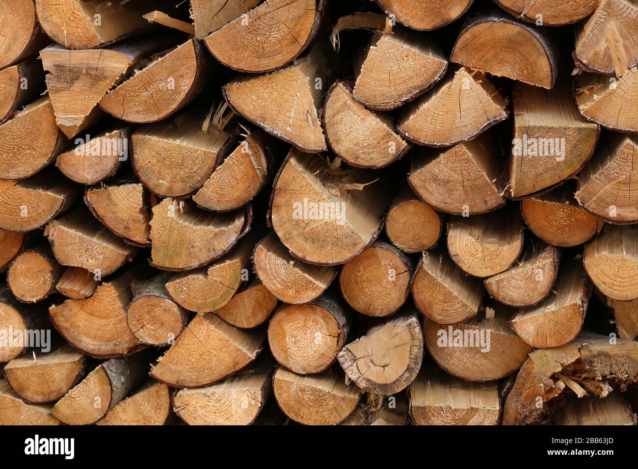 A wood-burning tree in the woods between the trees Stock Photo - Alamy