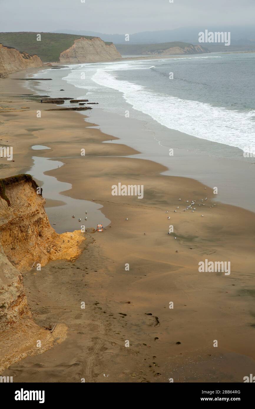 Drakes Beach, Point Reyes National Seashore, California Stock Photo - Alamy