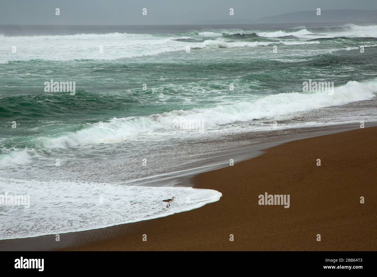North Beach surf, Point Reyes National Seashore, California Stock Photo ...