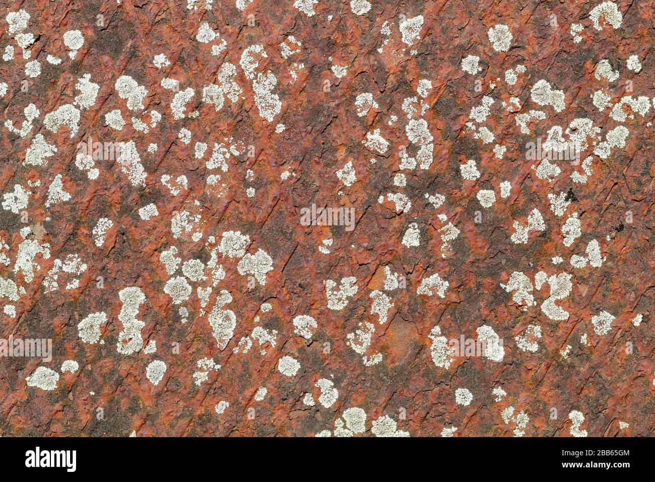 Metal floor texture hi-res stock photography and images - Alamy